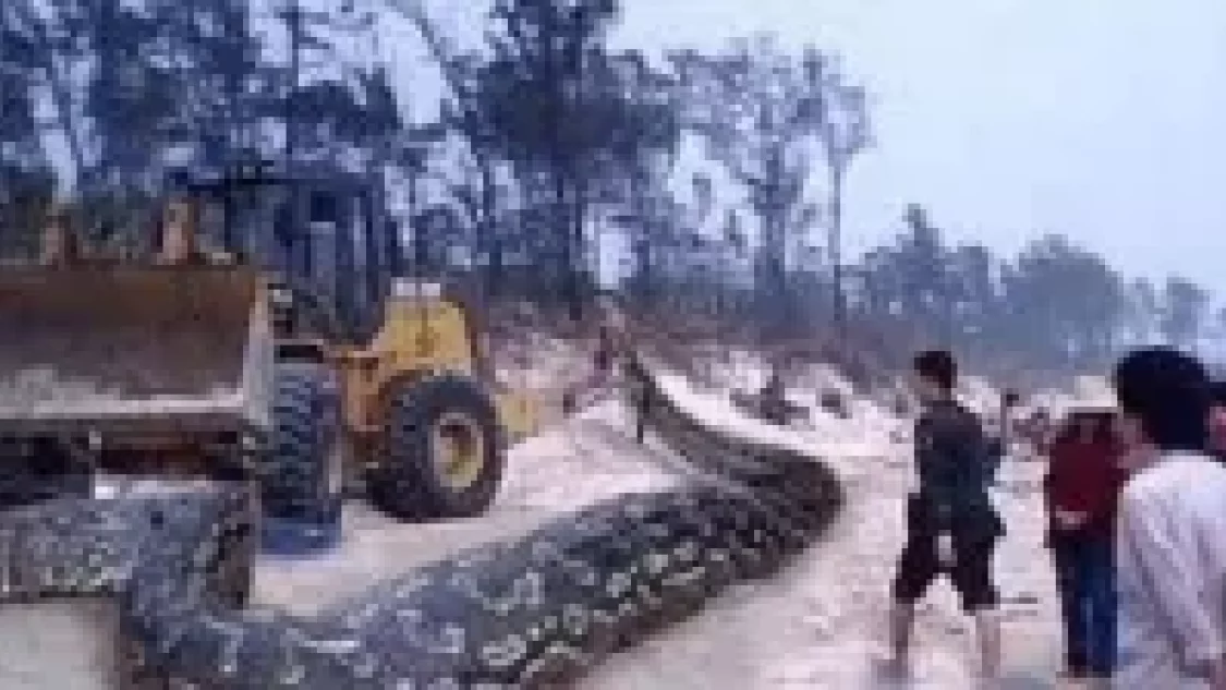 中国十大灵异事件惊悚系列之16年古墓千年巨蟒复活?24 《诡异档案》...