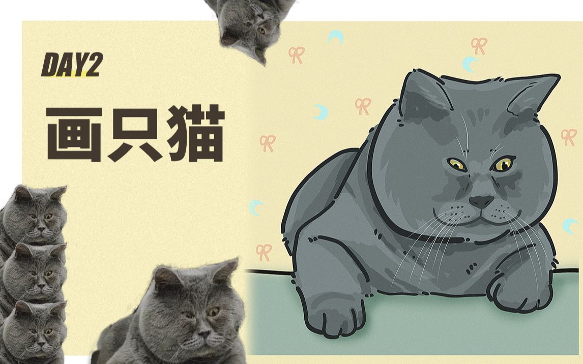 PS板绘 手绘猫咪 英短蓝猫 简笔画