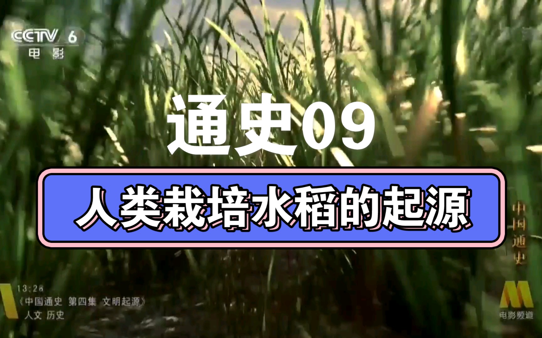通史09-人类栽培水稻的起源