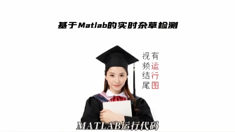 基于Matlab的实时杂草检测