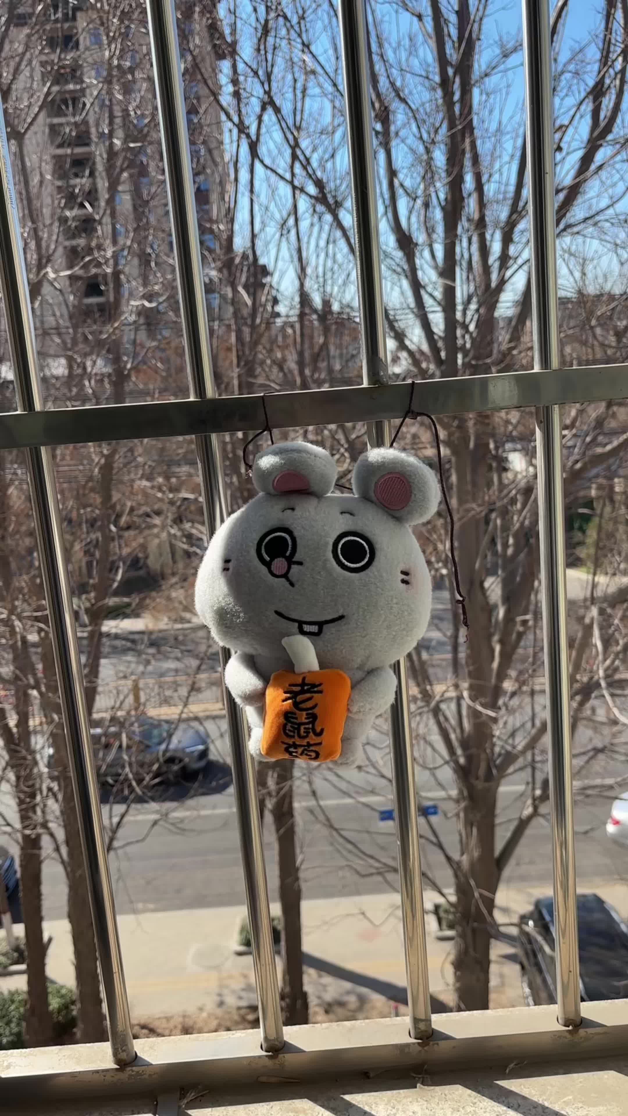 ...老鼠干#玩个很新的东西 #老鼠 #偷吃 #谁能拒绝呆萌的玩偶 #上热门ߔ