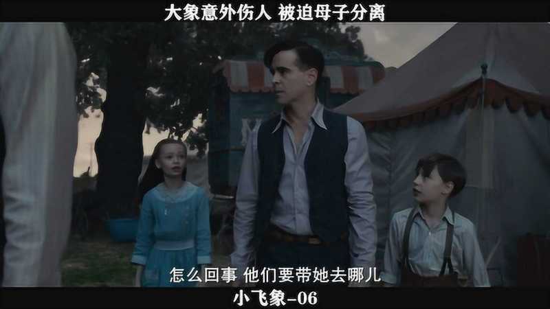 小飞象 06大象意外伤人,被迫母子分离