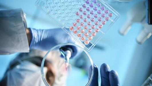 新冠肺炎确诊有严格的流程