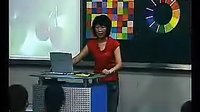 色彩的对比与和谐(小学美术优质课)教学实录 课堂实录 示范课