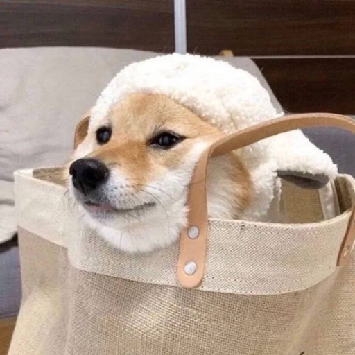 德尔瓦莱交叉口