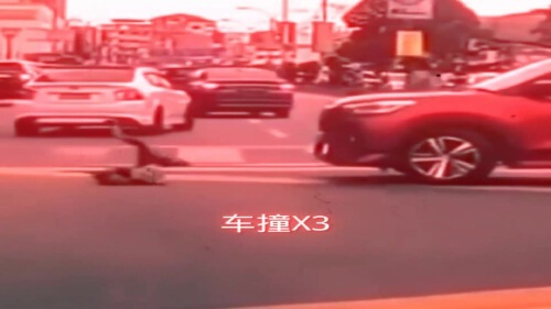 硬笔书法练习作品集:笔墨行草示范与技巧探索