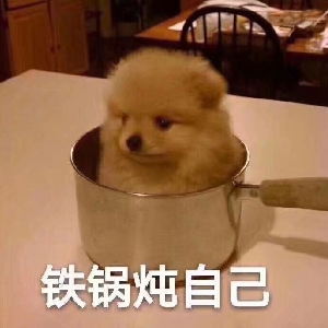 机智酷炫的千千 