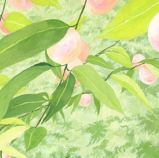 哆啦咪发不是梦 