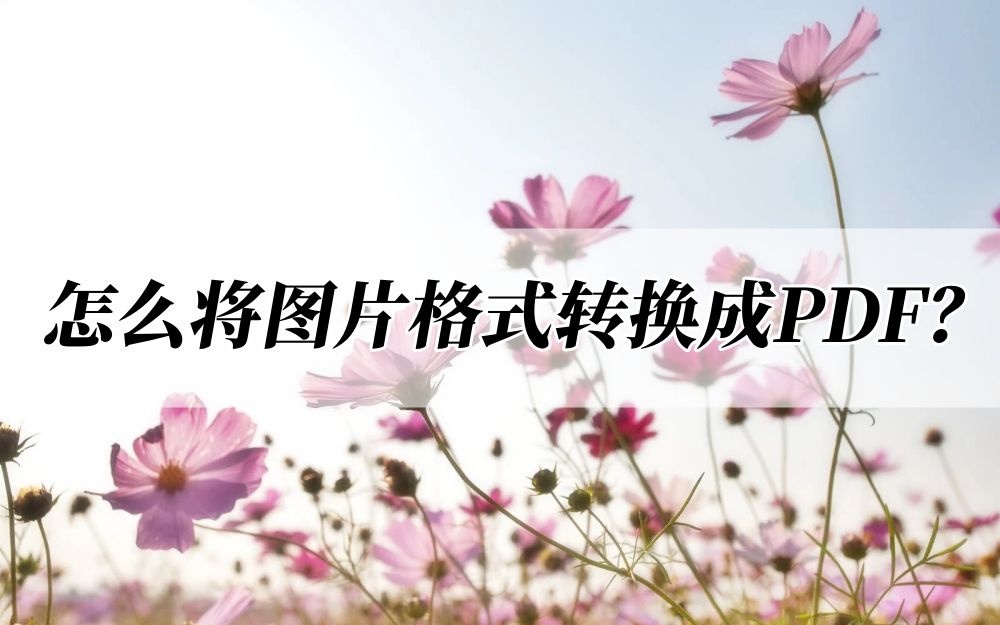 怎么将图片格式转换成PDF?你可以这样转换