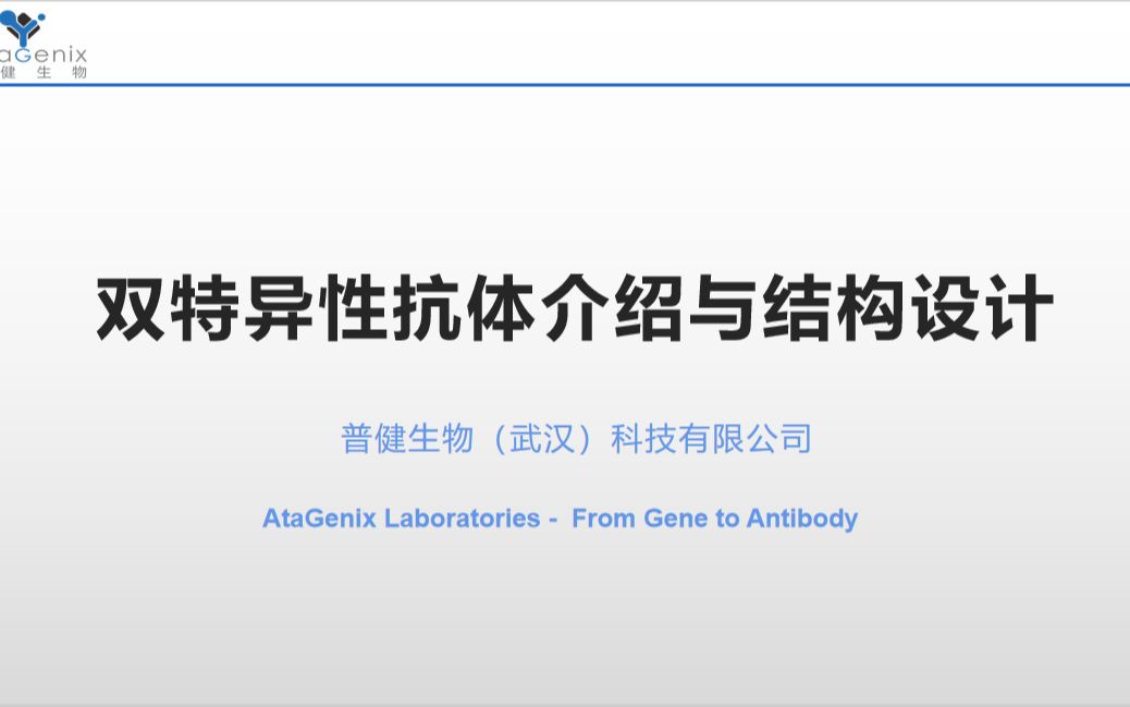 双特异性抗体介绍与结构设计