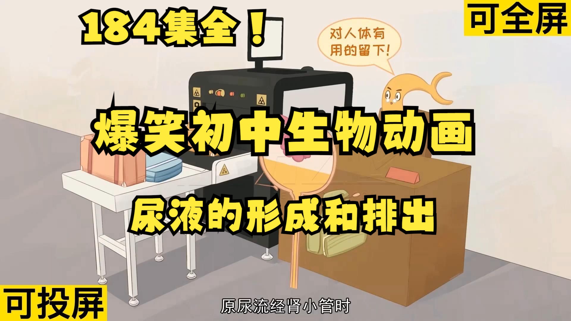 184集全可分享 爆笑初中生物动画 尿液的形成和排出 孩子一看就懂