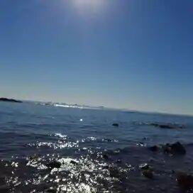 小倪赶海 