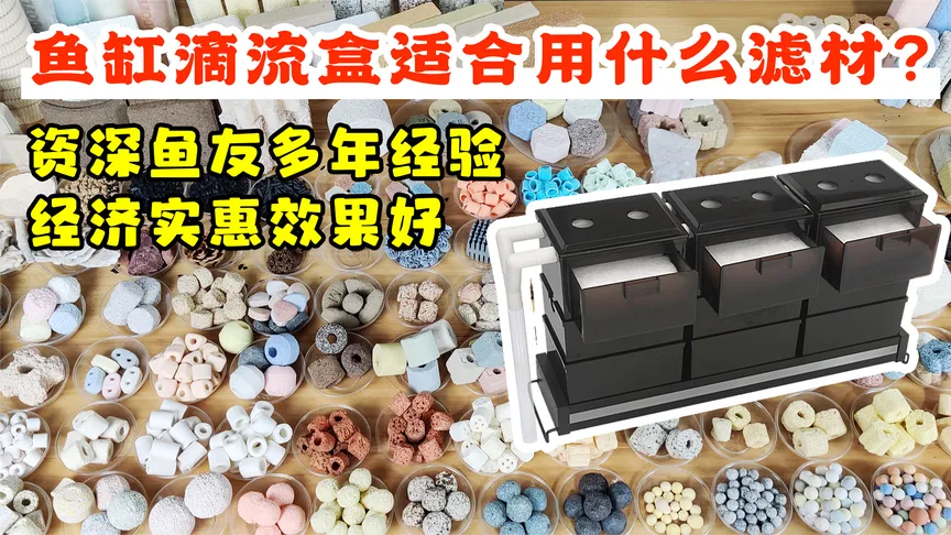 鱼缸上滤滴流盒过滤,搭配这些滤材,经济实惠效果好,少花冤枉钱