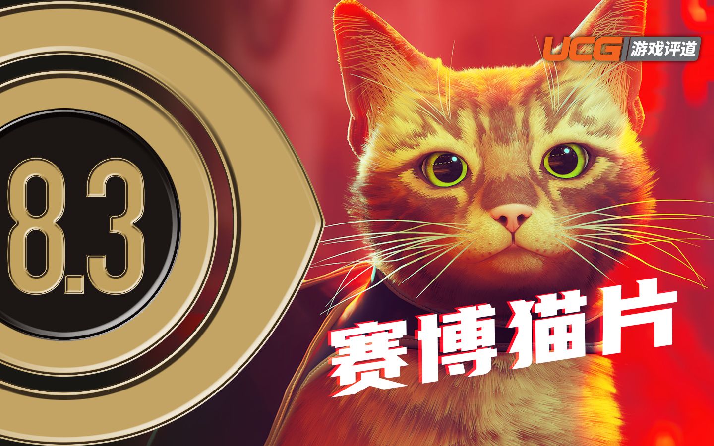 《Stray(迷失)》评测:今年最佳猫咪游戏!暑期必玩游戏推荐