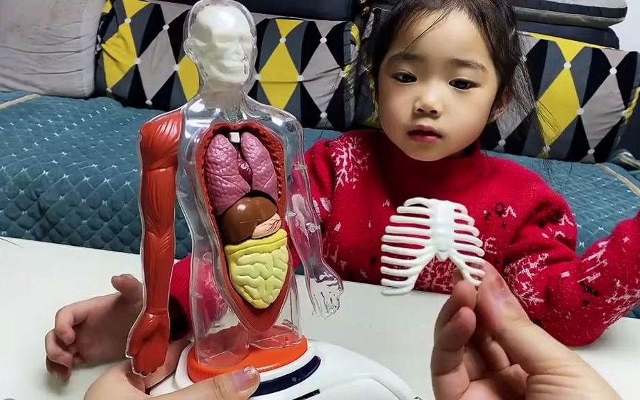 二宝拼装的对不对?