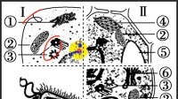 高考生物专题复习课程 第7集 细胞类型、结构与功能