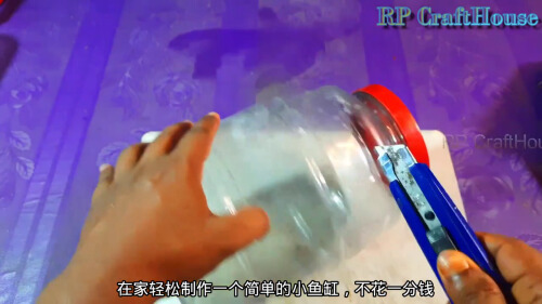 不花一分钱,在家轻松制作一个小鱼缸,制作方法简单,你也来试试