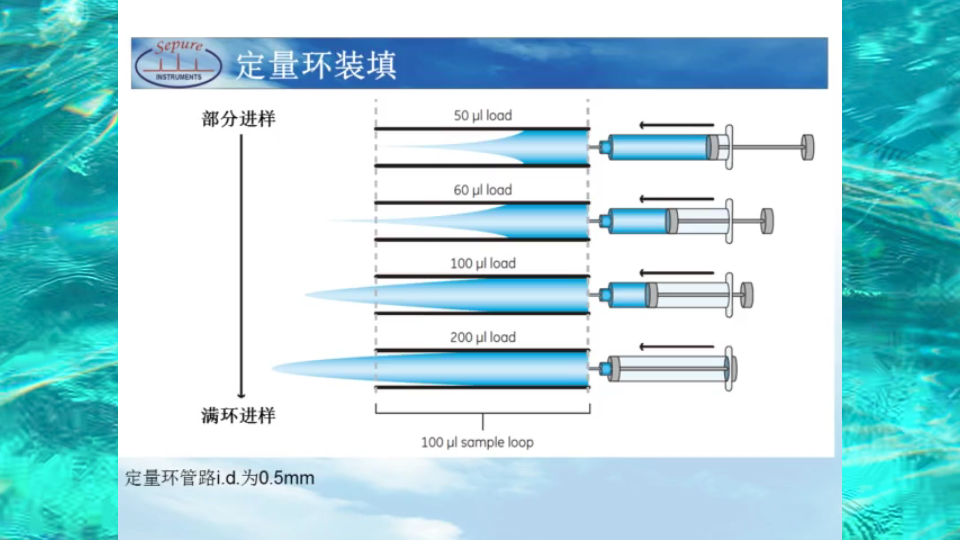 蛋白纯化仪定量环的选择