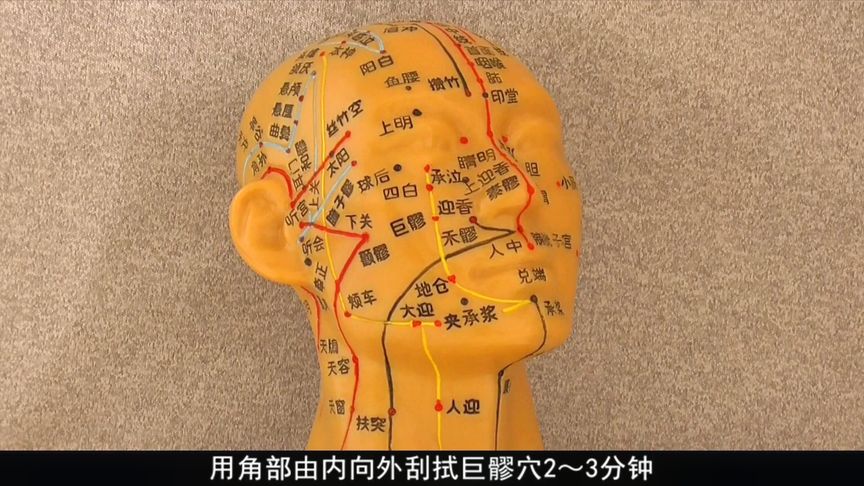 巨髎穴功效:治疗头部五官疾病。主治:面瘫,近视,远视,牙痛等