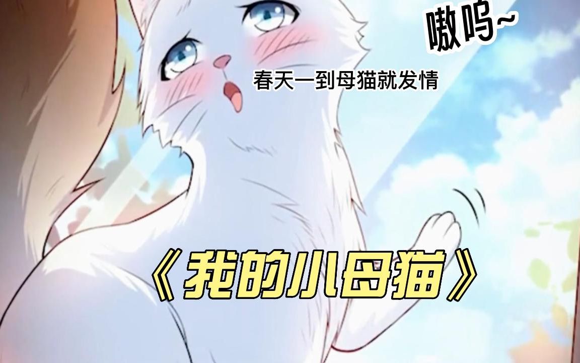 一口气看过瘾《我的小母猫》发情母猫被小伙用棉签捅眼,竟变成白发...