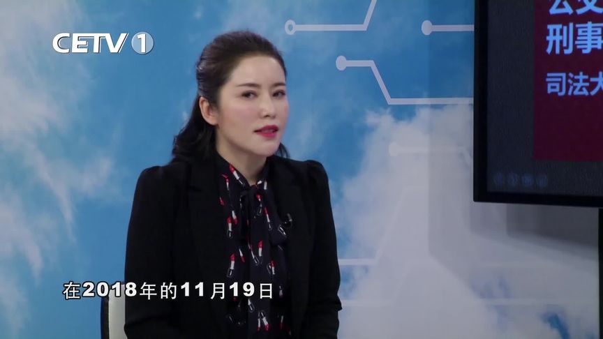 《公交车司乘冲突引发刑事案件分析》数据报告