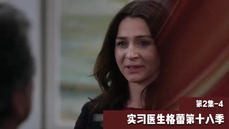实习医生格蕾第十八季:谢神医退休悬念起!(20)