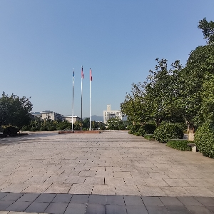 taisheng_up 
