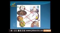 小学六年级美术名师精讲_有趣的仿生设计_吴宁_金老师家教