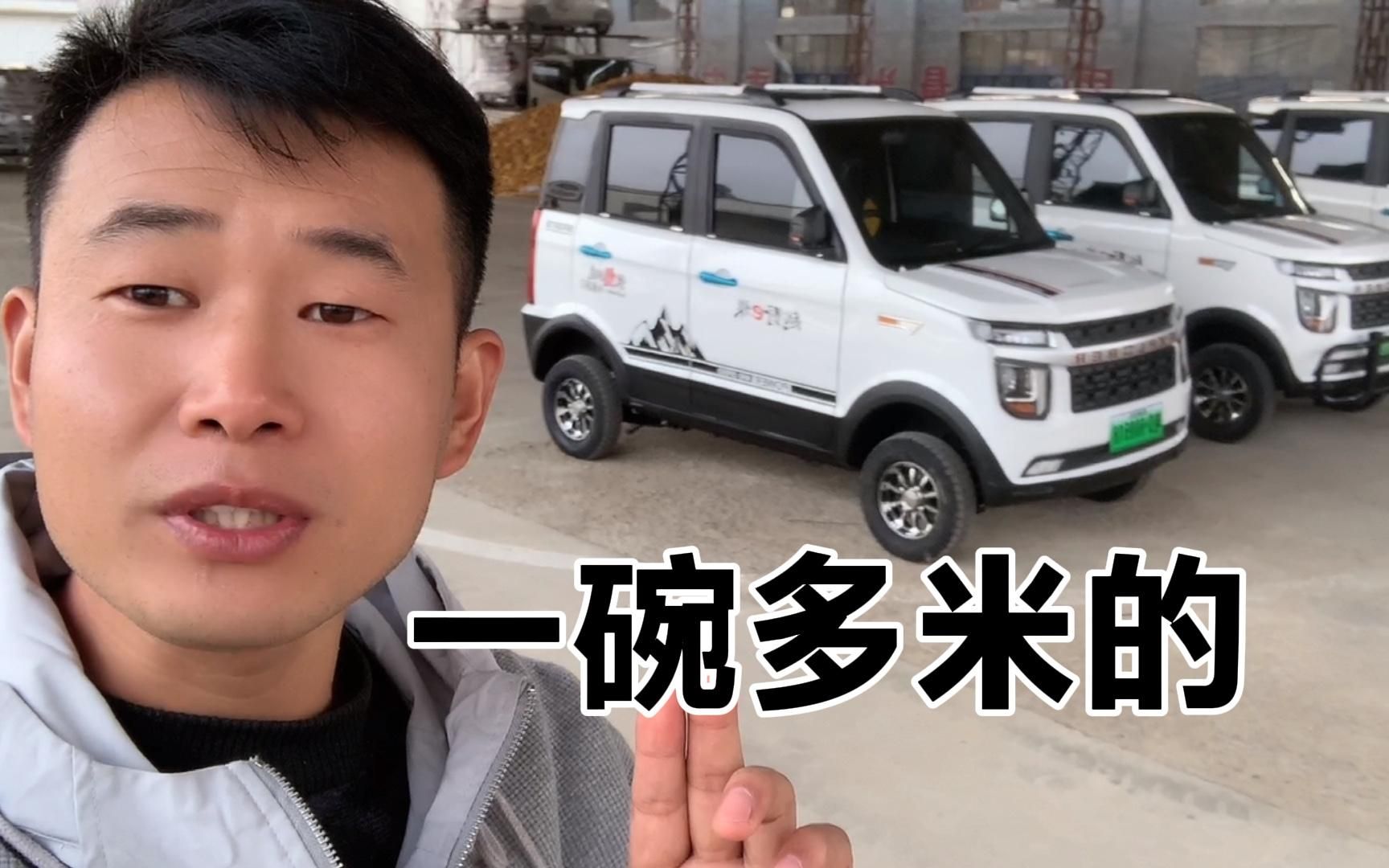 新能源低速电动车,四轮电动车,老年代步车,低速电动汽车