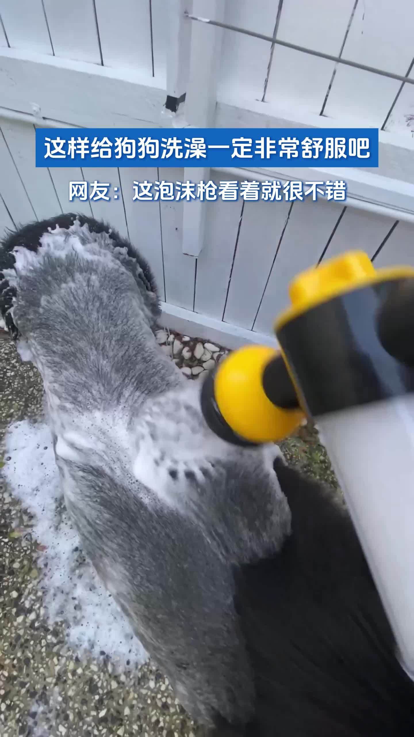 这样给狗狗洗澡一定非常舒服吧