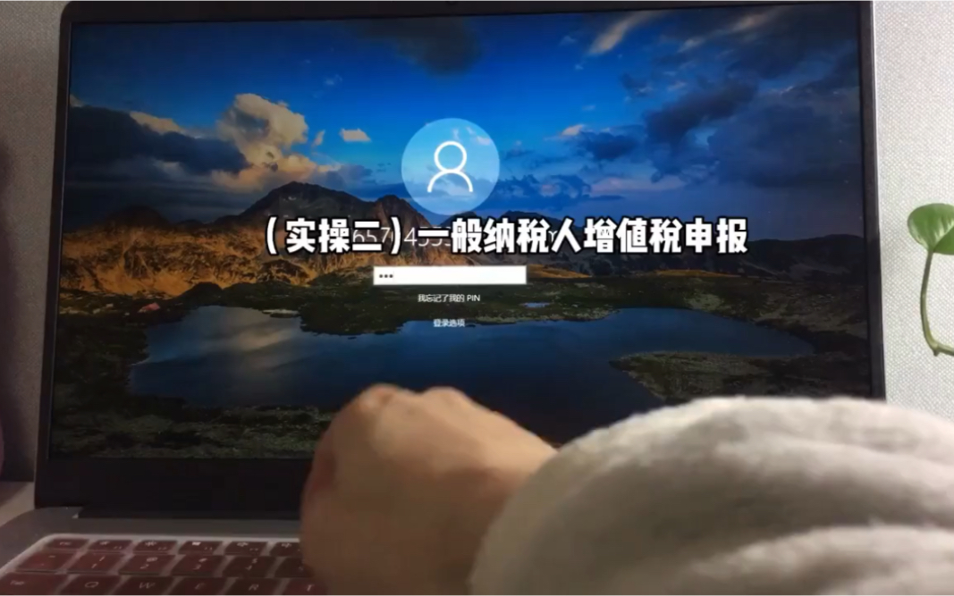 (实操二)增值税一般纳税人申报,穷极一生 要做自己喜欢的人