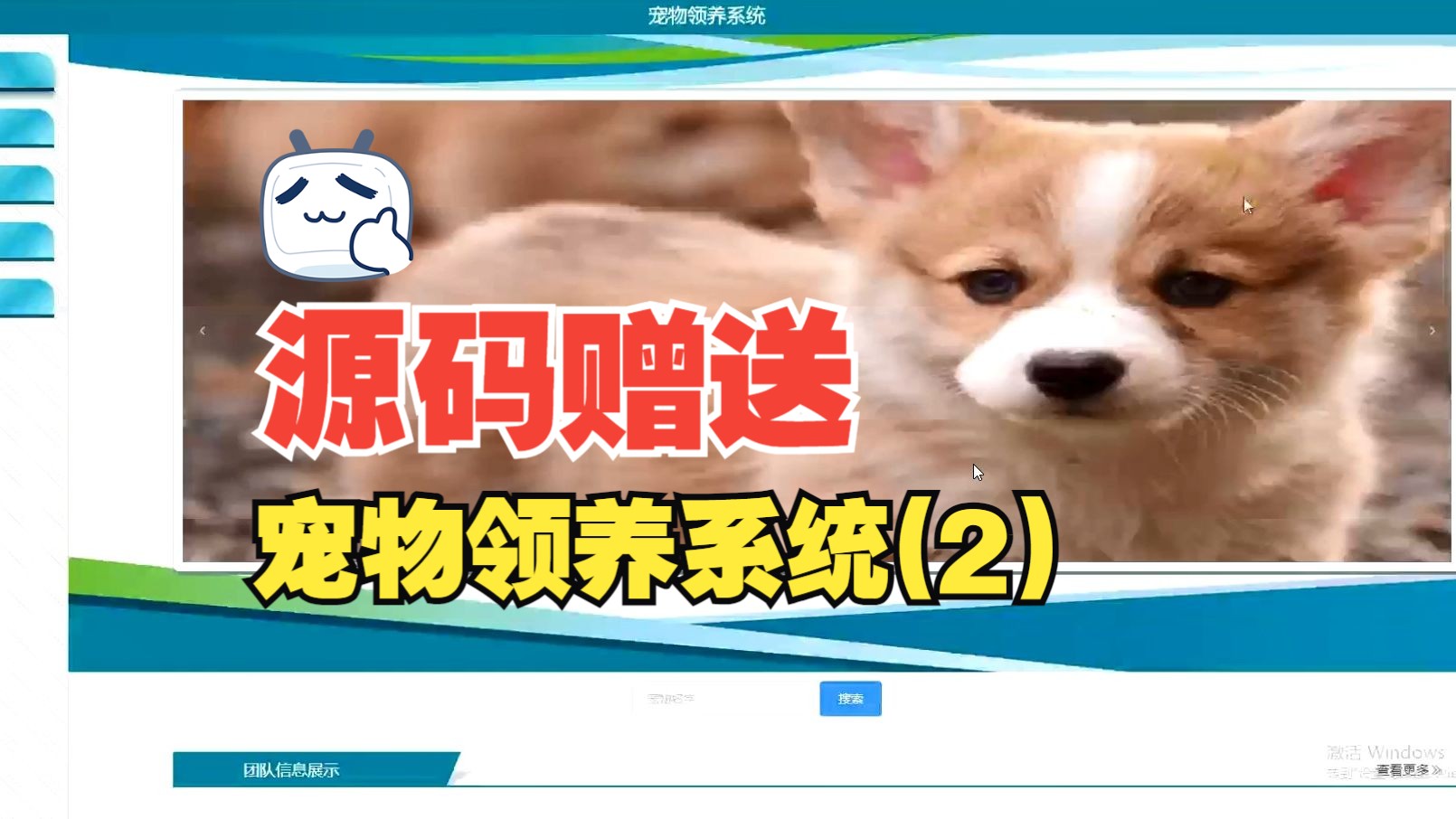 毕设项目宠物领养系统(2)