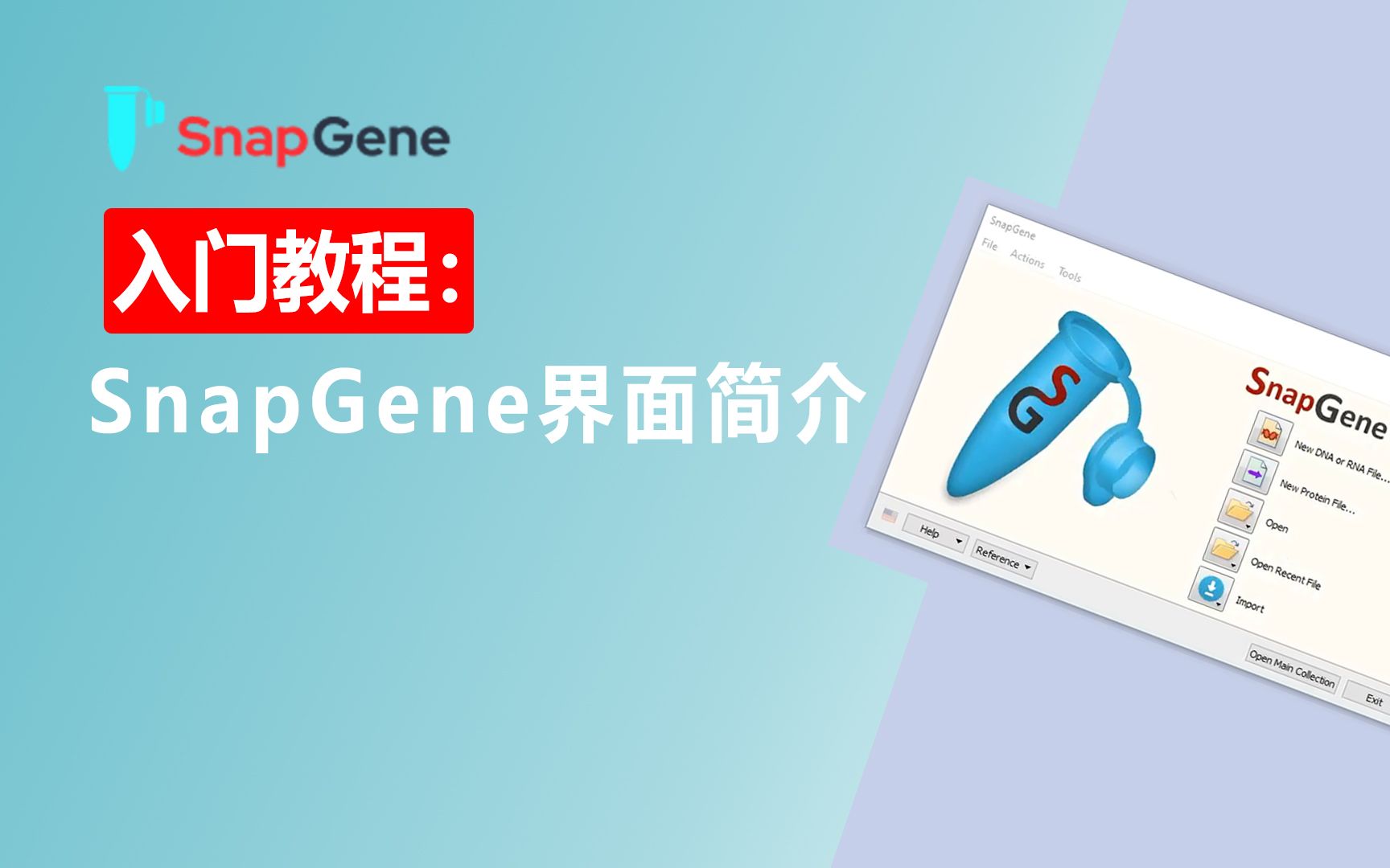 入门教程:观看此视频,简要了解SnapGene界面