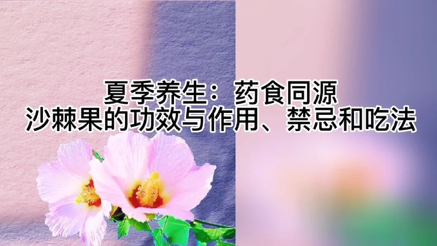 夏季养生:药食同源,沙棘果的功效与作用、禁忌和吃法