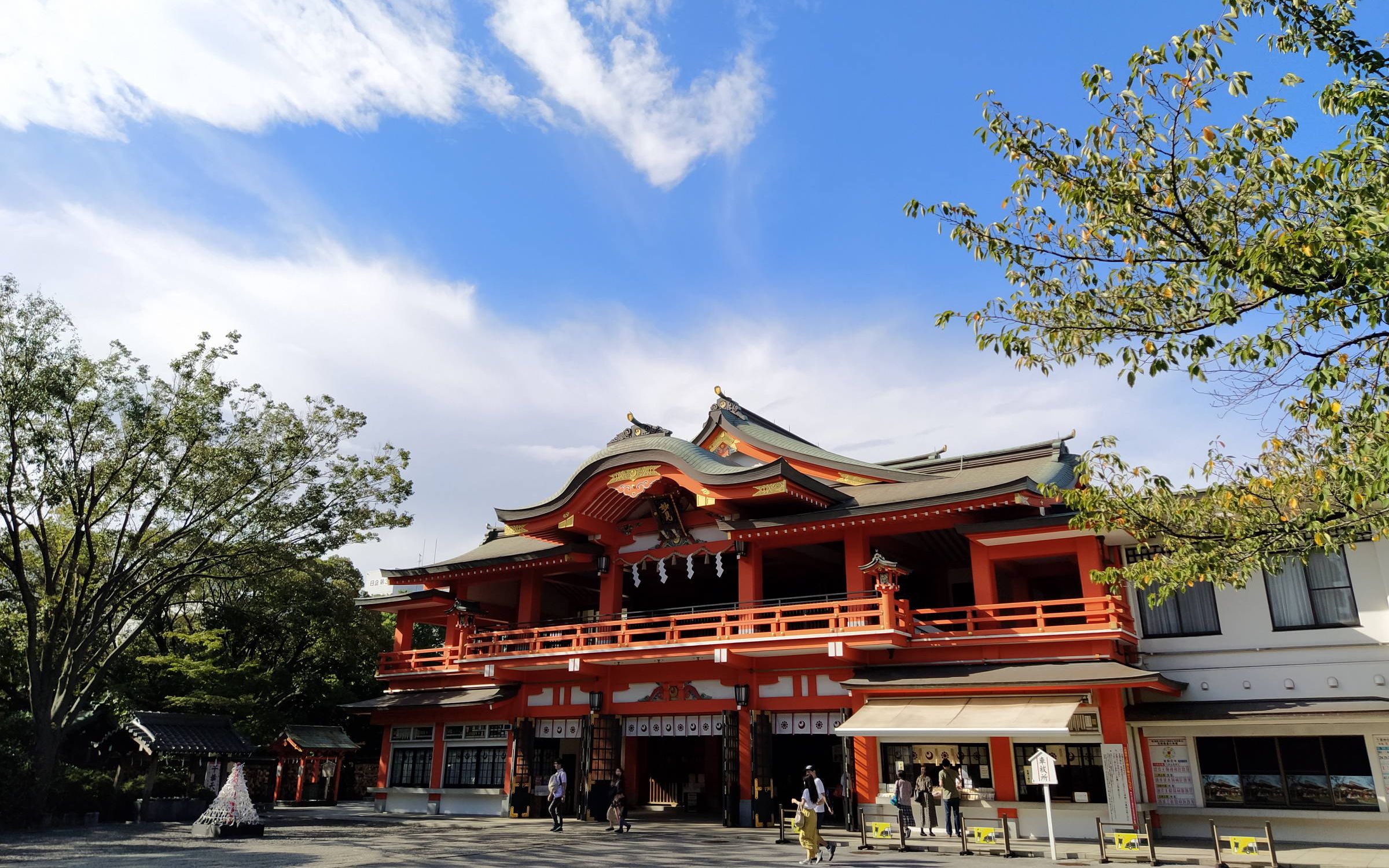 谈谈认知语言学中的关联理论