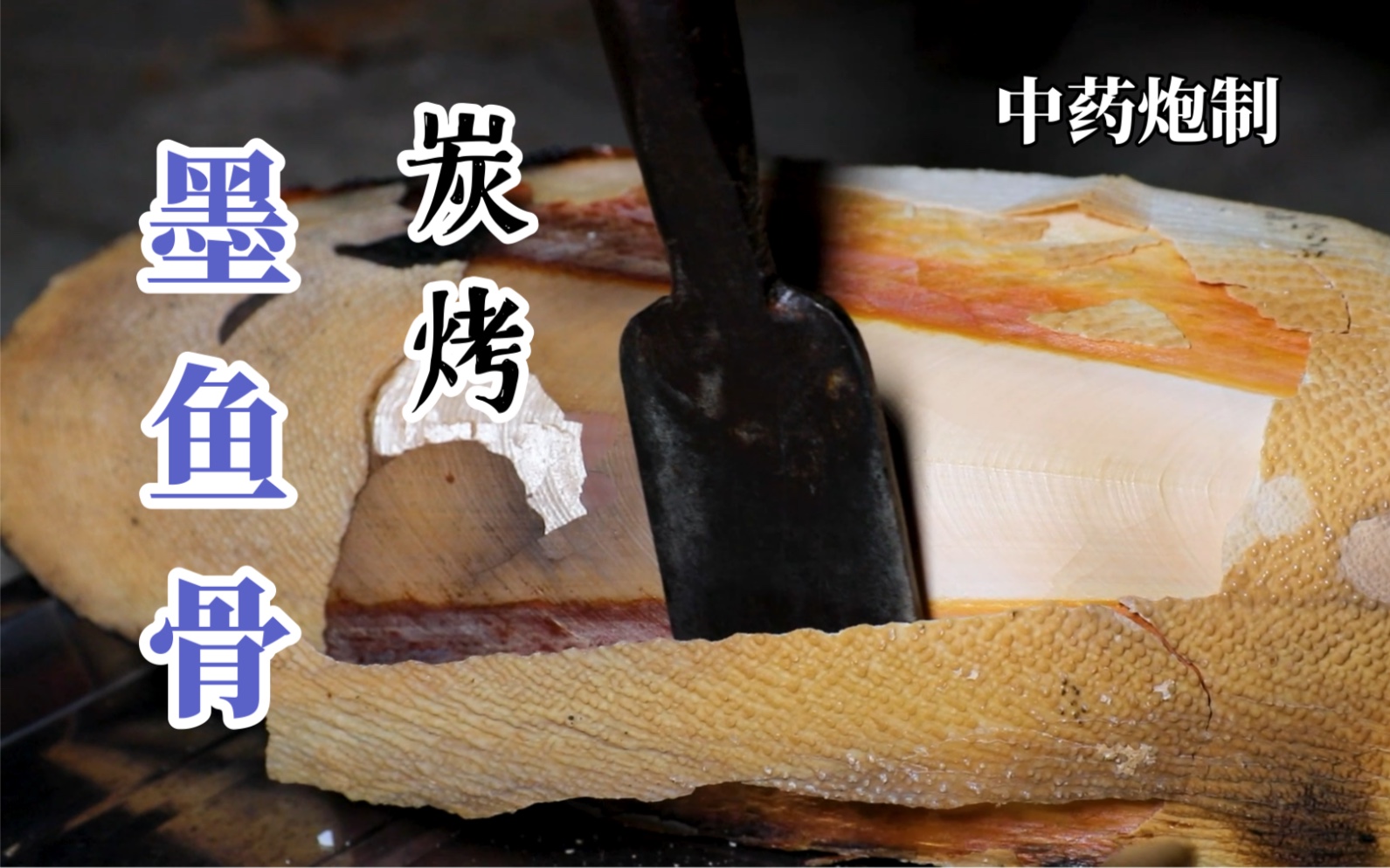 日常中药炮制 炭烤墨鱼骨 制作乌贝散