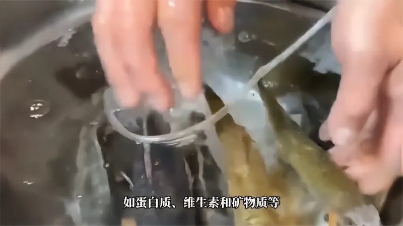 糯稻根太子参煲泥鳅鱼汤