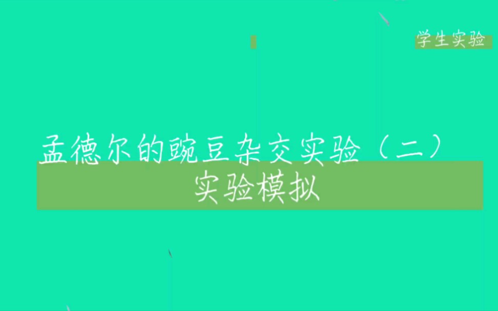 模拟生物实验(一)——孟德尔豌豆杂交实验(二)