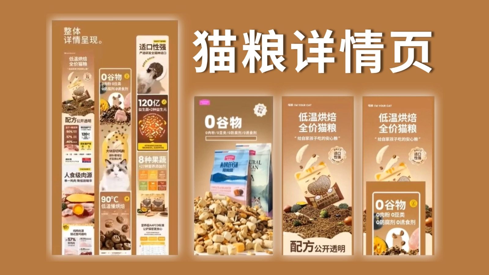 PS精选设计教程:猫粮详情页,从0开始详细制作教程,举一反三,海量模板...