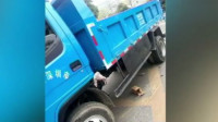 小学生独自放学回家,途中骑共享单车出事故,整个身体被卷入车轮