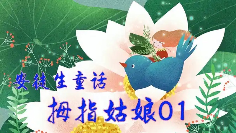安徒生童话 拇指姑娘(第01集)癞蛤蟆和她的丑儿子