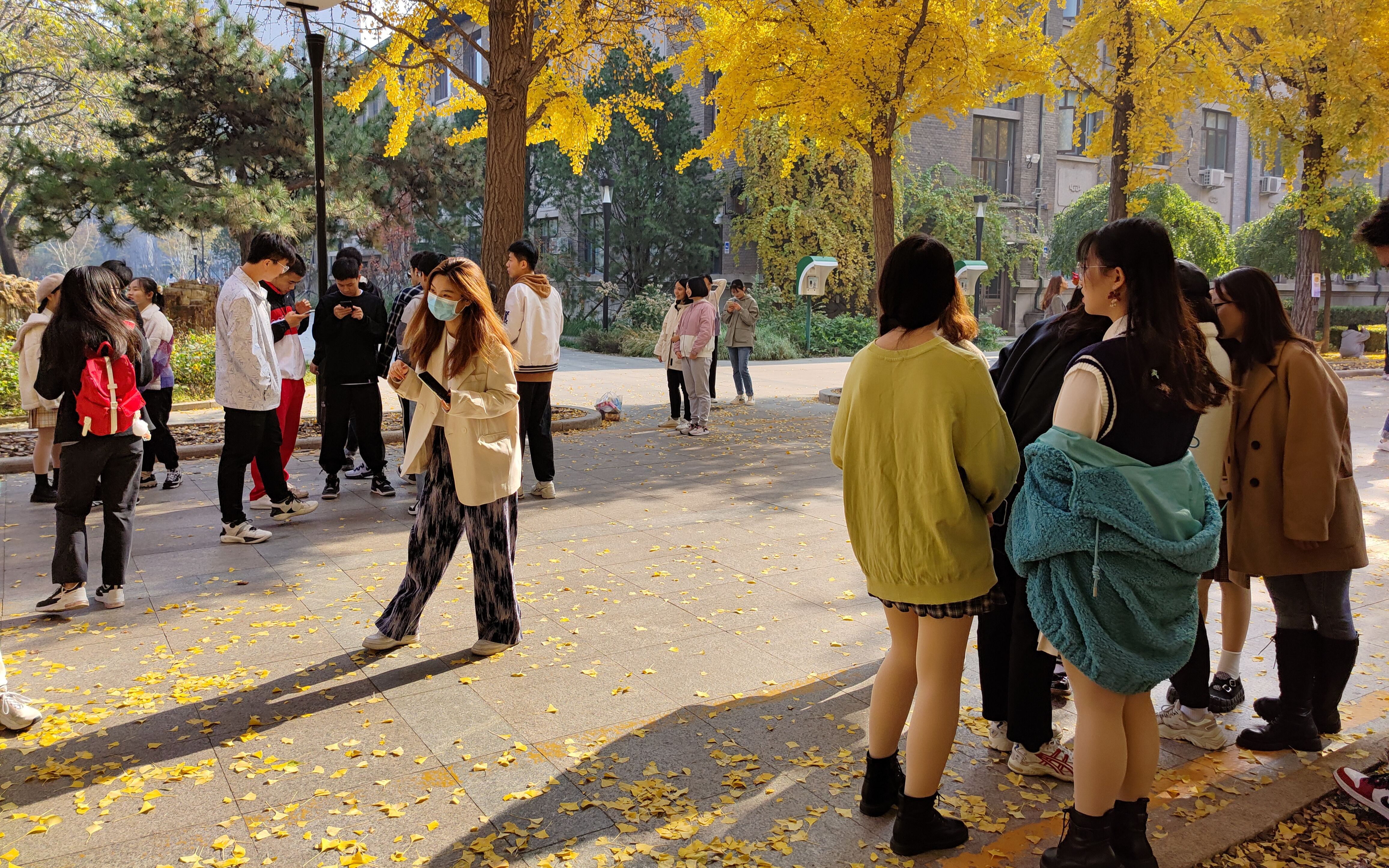 【北京林业大学】| 北林vlog 一些我不再拥有的片段 以此纪念我的大学...