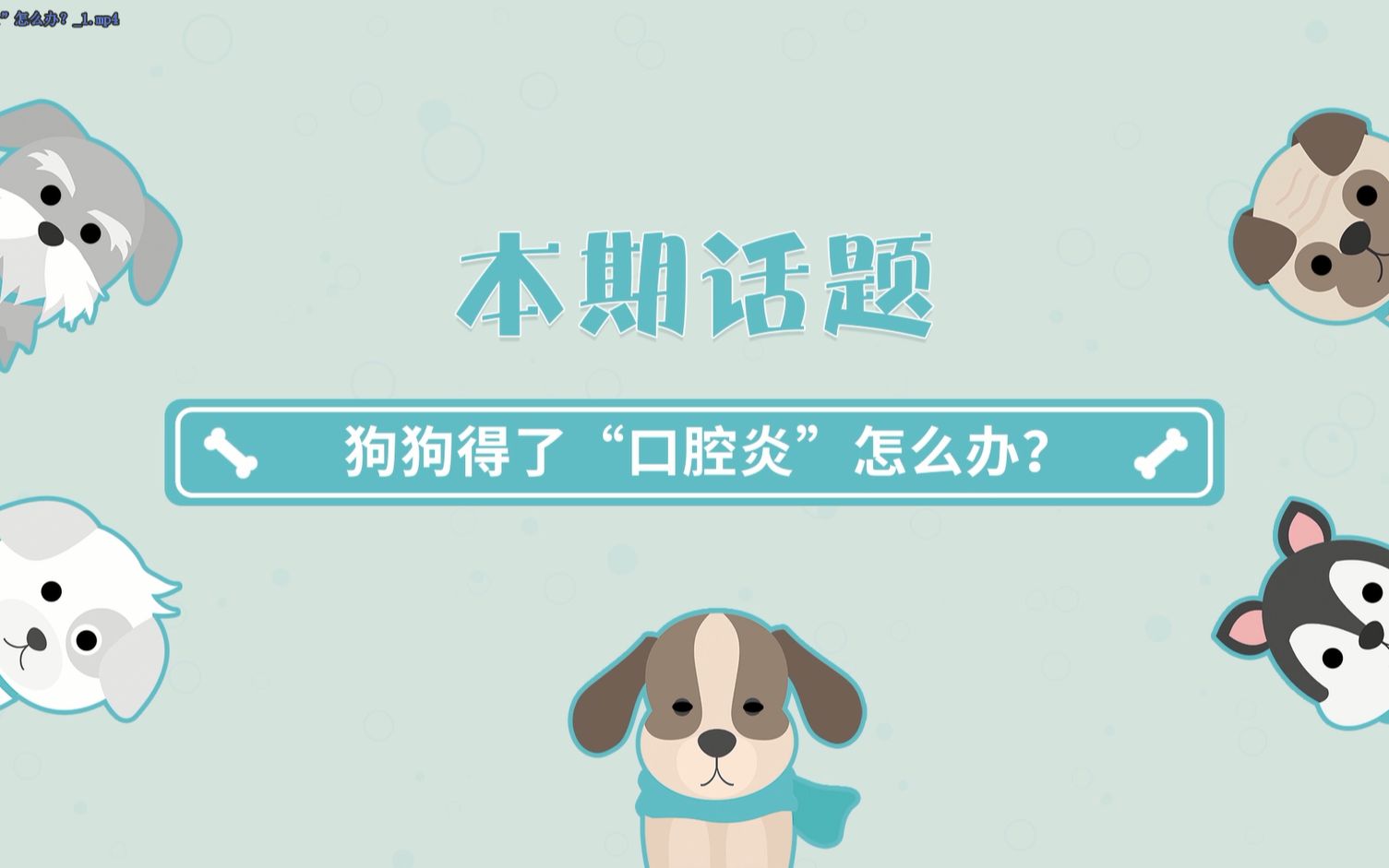 狗狗得了“口腔炎”怎么办?