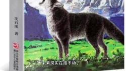 分享《狼王梦》-第一章 绝境分娩 四(1) 作者:沈石溪