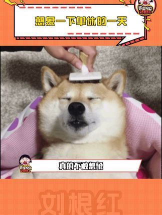 真的有点难以想象单休的一天啊!#万万没想到 #单休