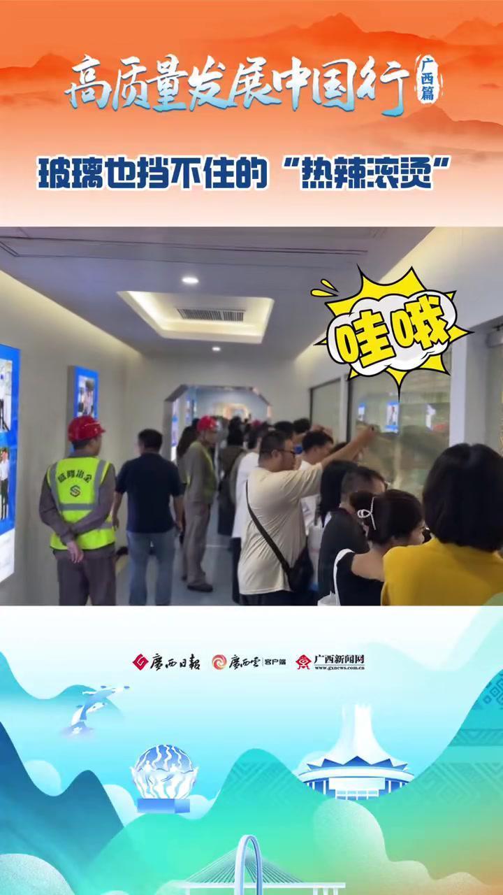 ...发展中国行·广西篇"专题活动的网络名人来到广西盛隆冶金有限公司...