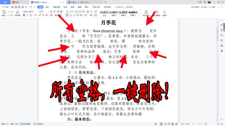 WPS文档怎样删除空格?可以做到一秒批量删除全文所有空格