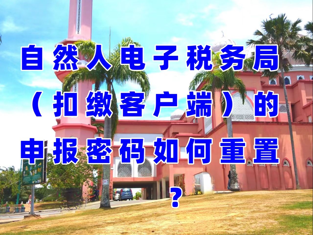 自然人电子税务局(扣缴客户端)的申报密码如何重置?