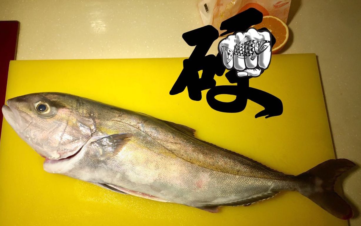 【HA-71 咚咚,锵咚锵 - 醒 鰤 夜荟】