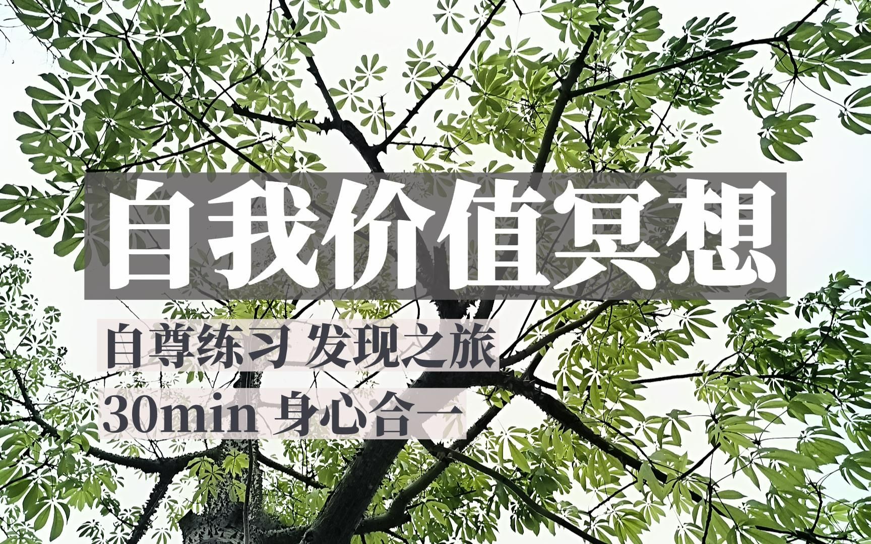 30分钟提升自我价值冥想,自尊宣言,疗愈自己,身心合一,午休催眠神器,...